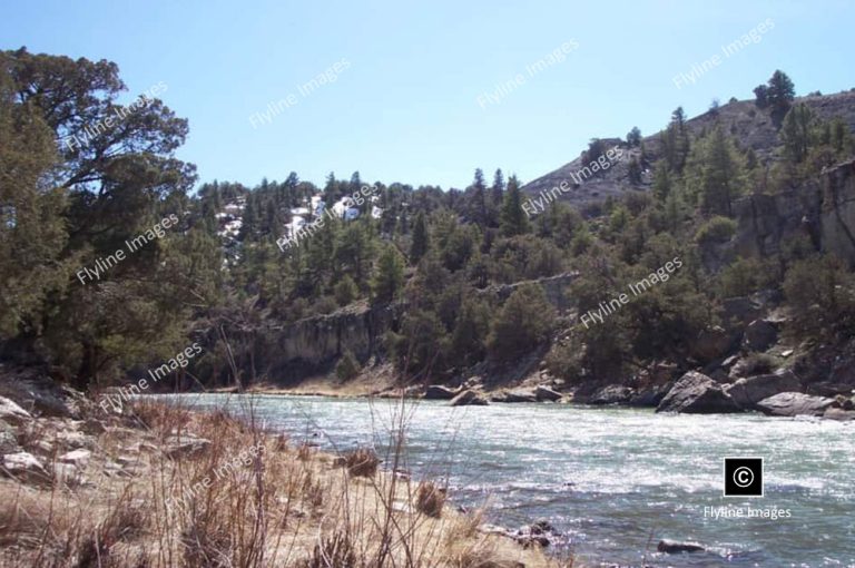 Chama River Image - Chama River Below Coopers El Vado Ranch