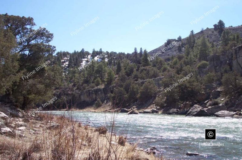 Chama River Image - Chama River Below Coopers El Vado Ranch