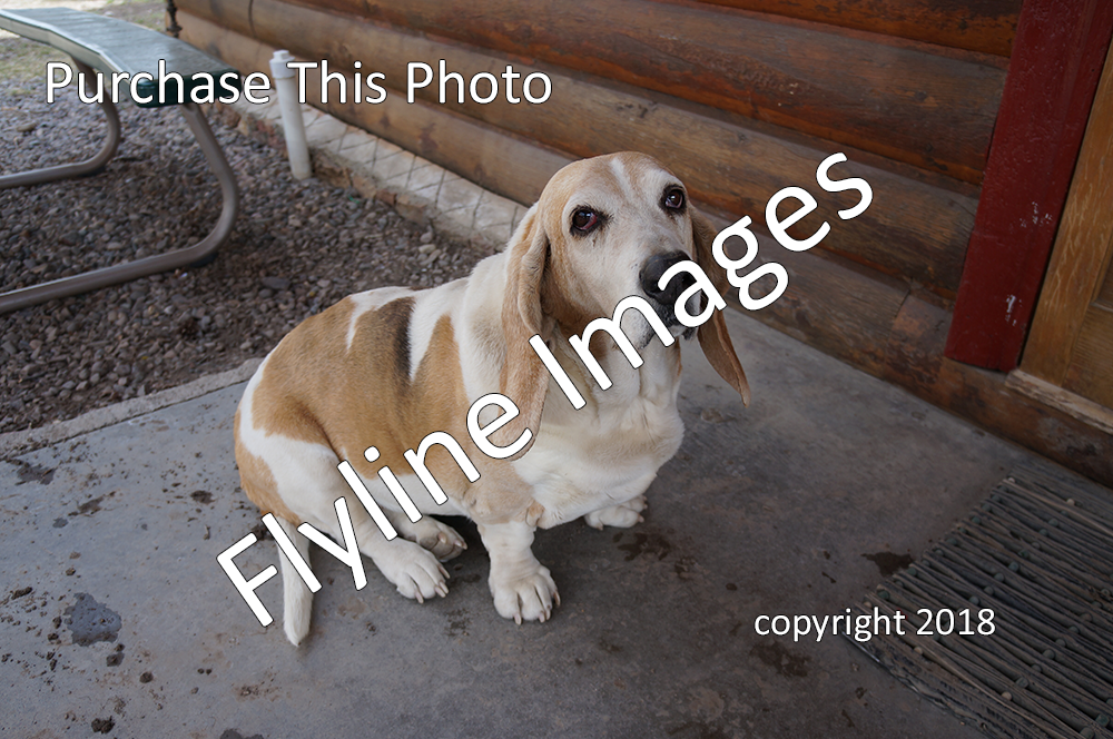 El Vado Ranch - Chama River, Fly Fishing, Rustic Cabins, Hunting