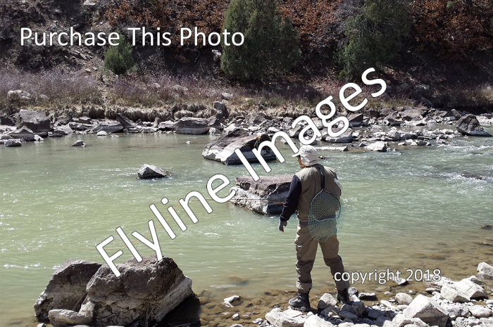 Chama River - New Mexico, Fly Fishing, Royalty Free Images