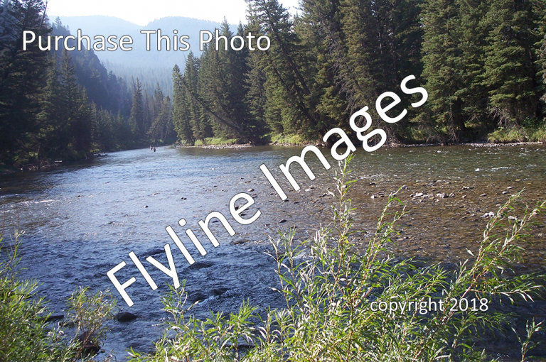 Gallatin River - Flyline Images