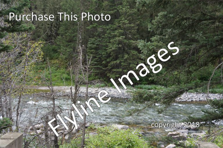 Gallatin River - Flyline Images