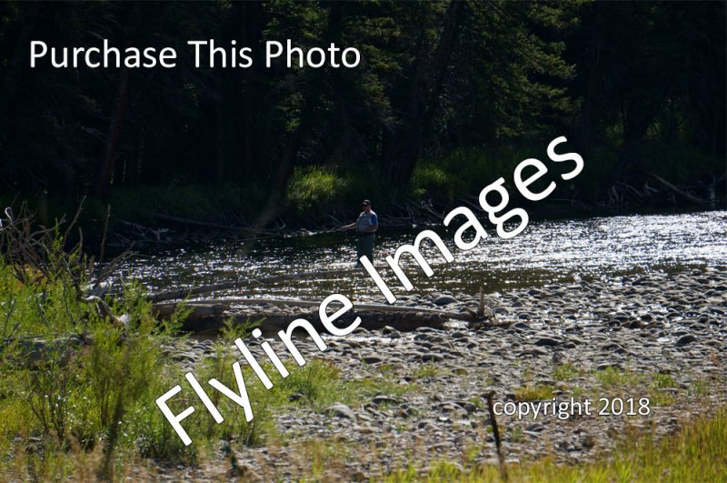 Gallatin River - Flyline Images