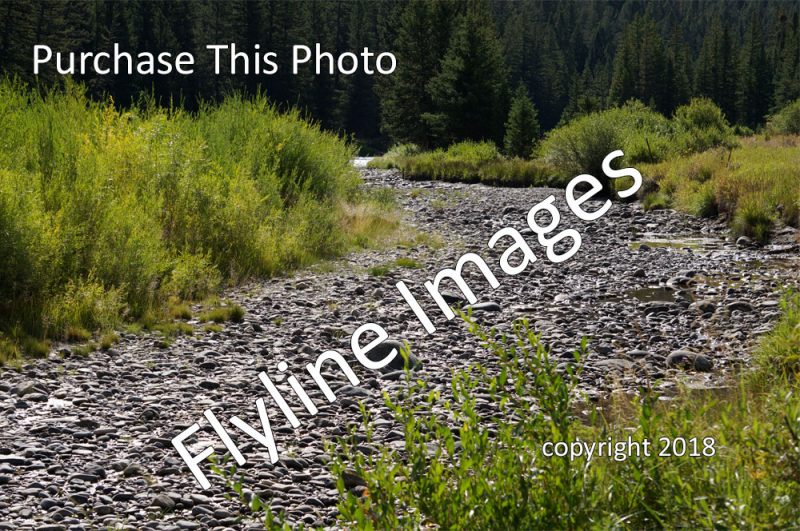 Gallatin River - Flyline Images