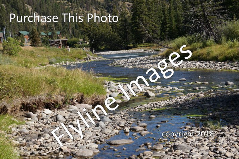 Gallatin River - Flyline Images