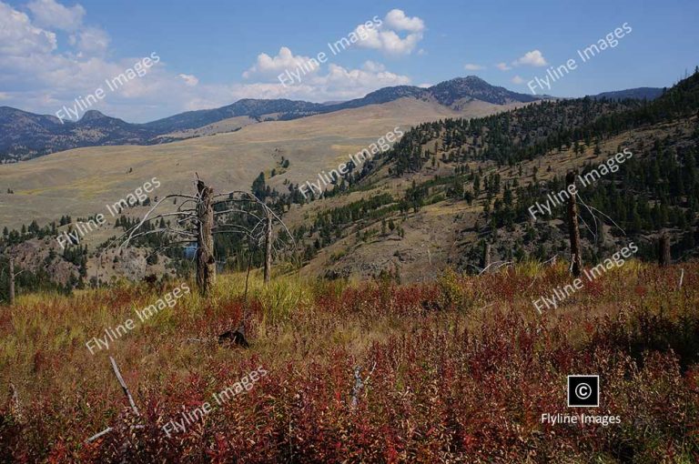 Hellroaring Trail - Scenic Hike, Yellowstone National Park