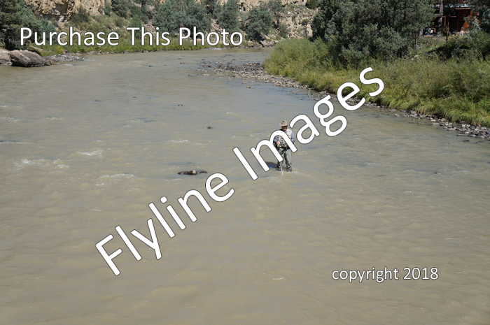 Chama River - New Mexico, Fly Fishing, Royalty Free Images