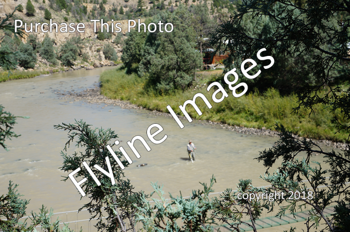 Chama River - New Mexico, Fly Fishing, Royalty Free Images