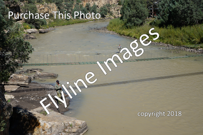 Chama River - New Mexico, Fly Fishing, Royalty Free Images