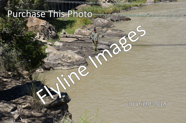Chama River - New Mexico, Fly Fishing, Royalty Free Images