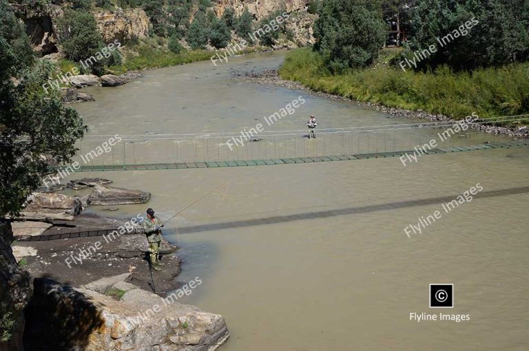 Chama River - New Mexico, Fly Fishing, Royalty Free Images