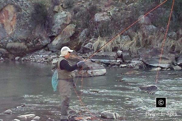 El Vado Ranch - Chama River, Fly Fishing, Rustic Cabins, Hunting