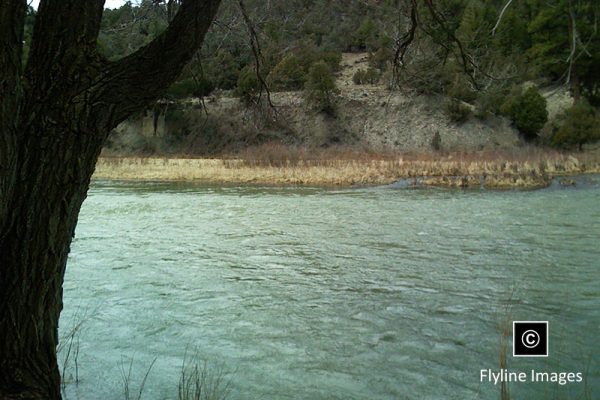 El Vado Ranch - Chama River, Fly Fishing, Rustic Cabins, Hunting