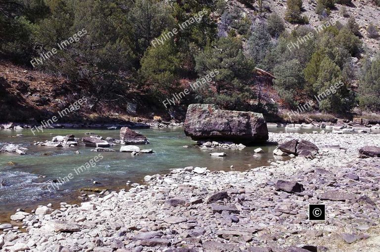 Chama River - New Mexico, Fly Fishing, Royalty Free Images